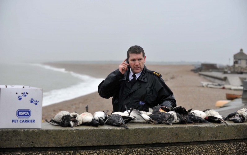 A Doctor Who style police box is revealed as crime drops in Boscombe