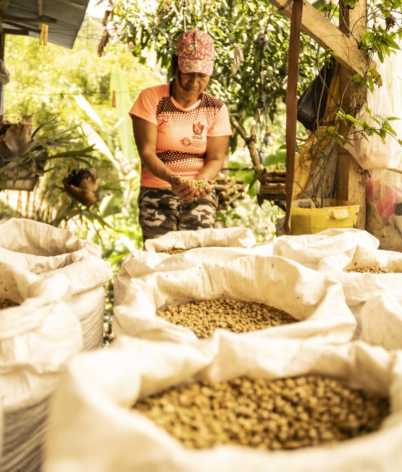 There is a story behind the coffee you drink